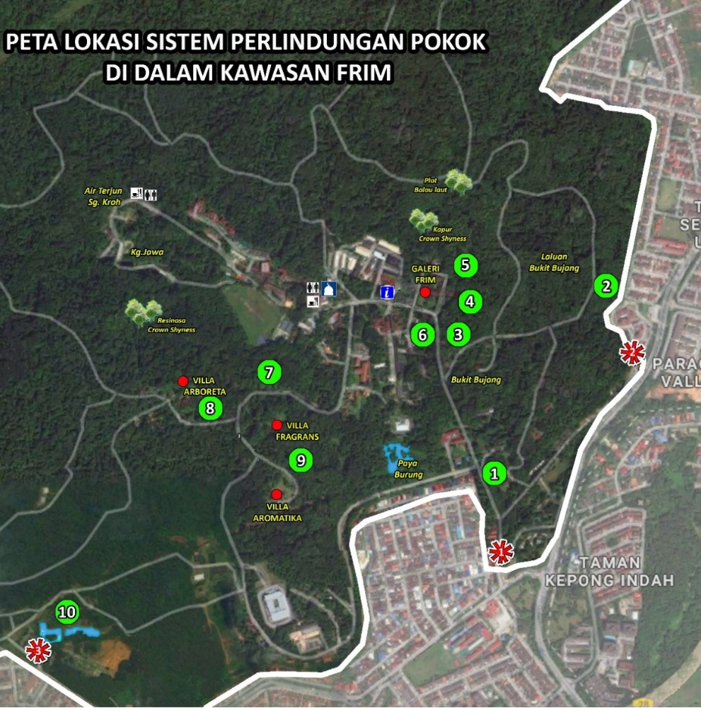 Melindungi Khazanah Hutan: Aplikasi Sistem Perlindungan Pokok di Kampus ...